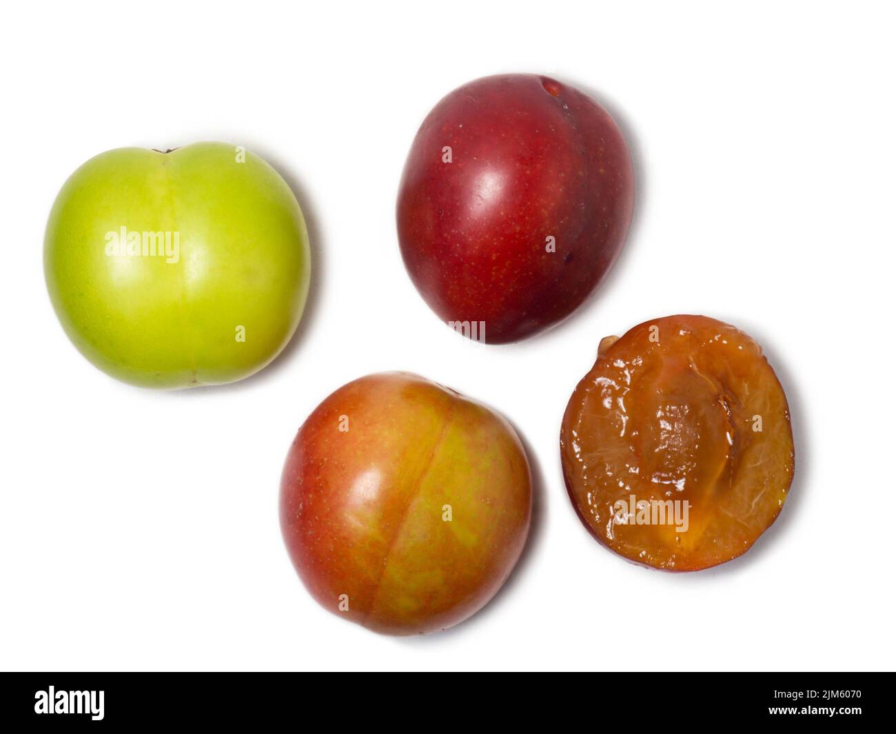 Prune de cerise à différents stades de maturation. Variété de prunes ...