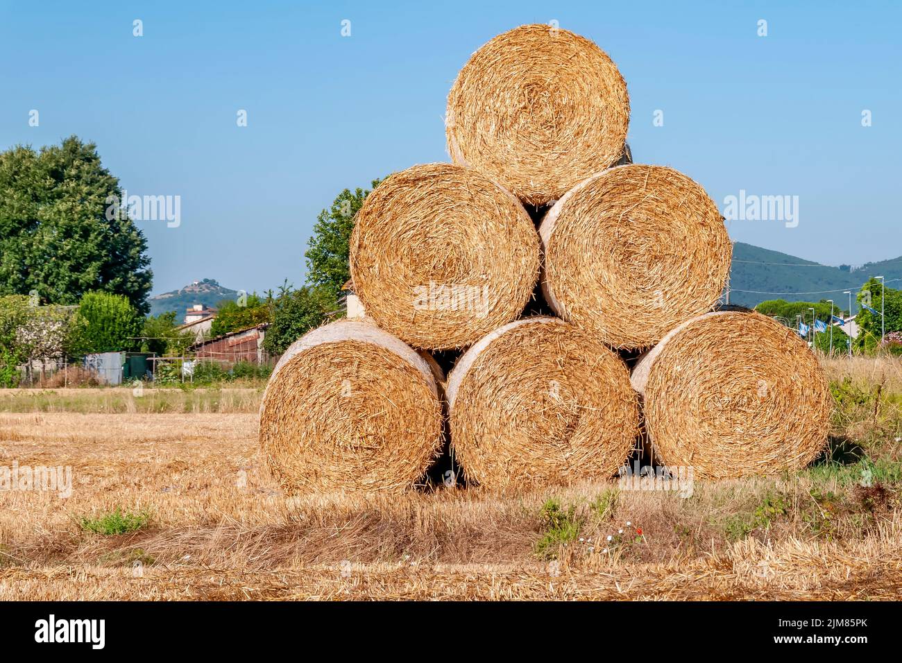 Grande pile de balles de foin sur un terrain brûlée par la sécheresse ...
