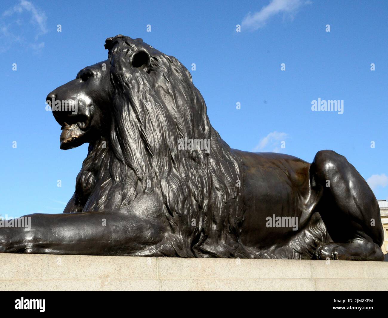 Trafalgar square lion Banque de photographies et d’images à haute ...