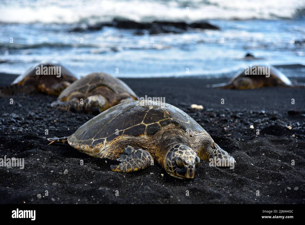 Plage sable noir Banque de photographies et d’images à haute résolution ...
