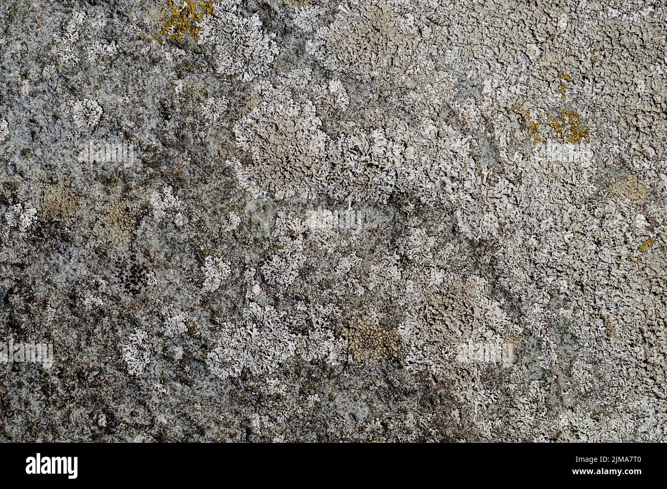 Roche grise Banque de photographies et d’images à haute résolution - Alamy