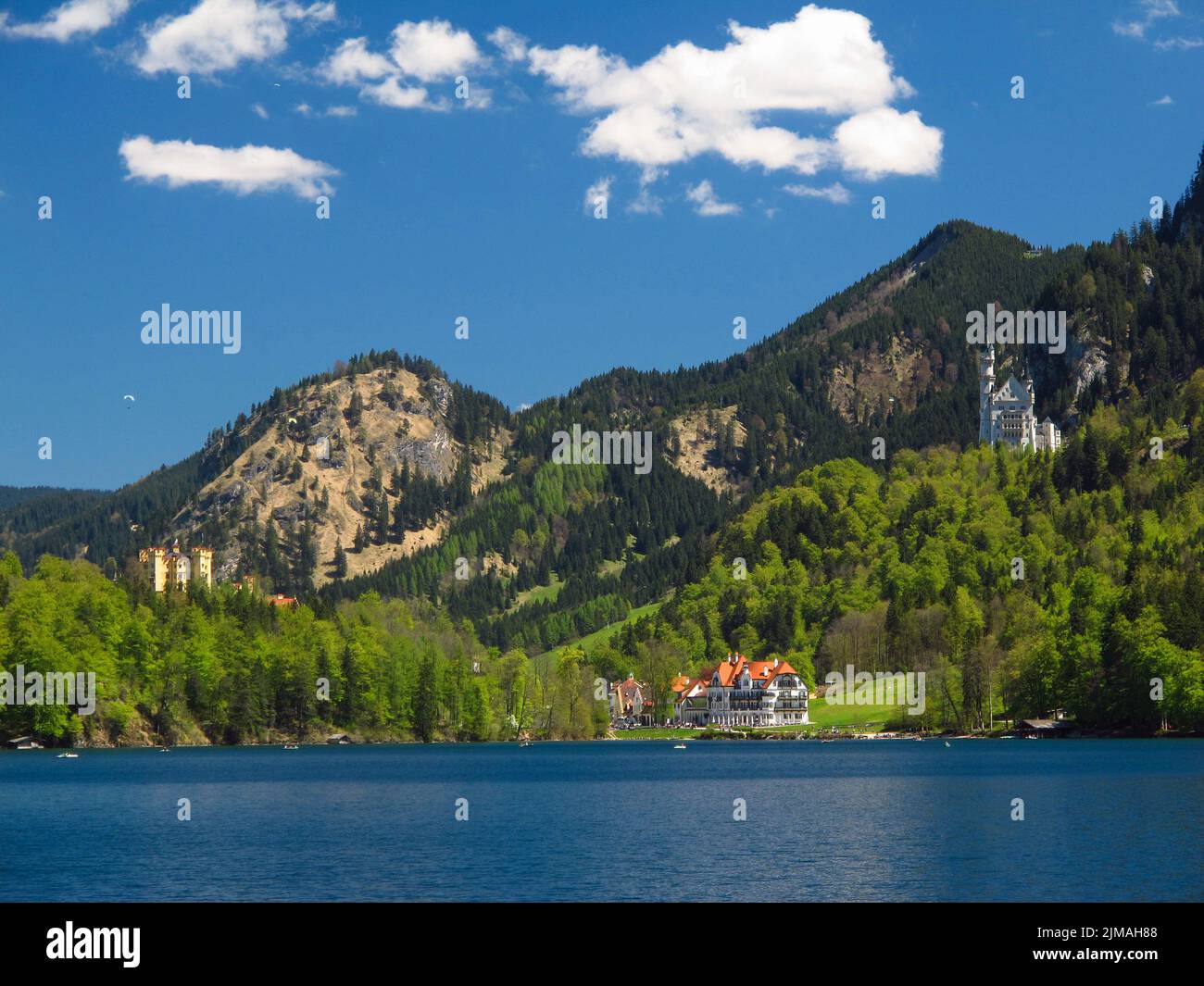 Neuschwanstein castle and lake alpsee Banque de photographies et d ...