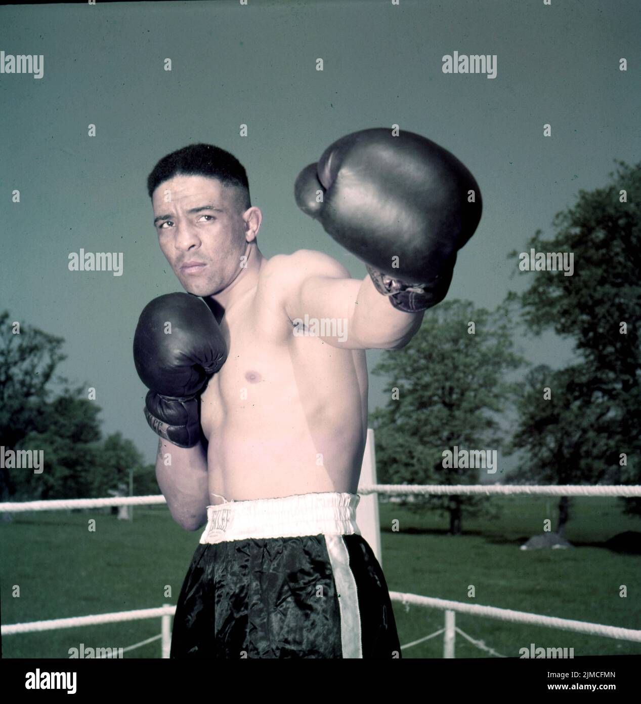 Randy turpin champion du monde Banque de photographies et d’images à ...