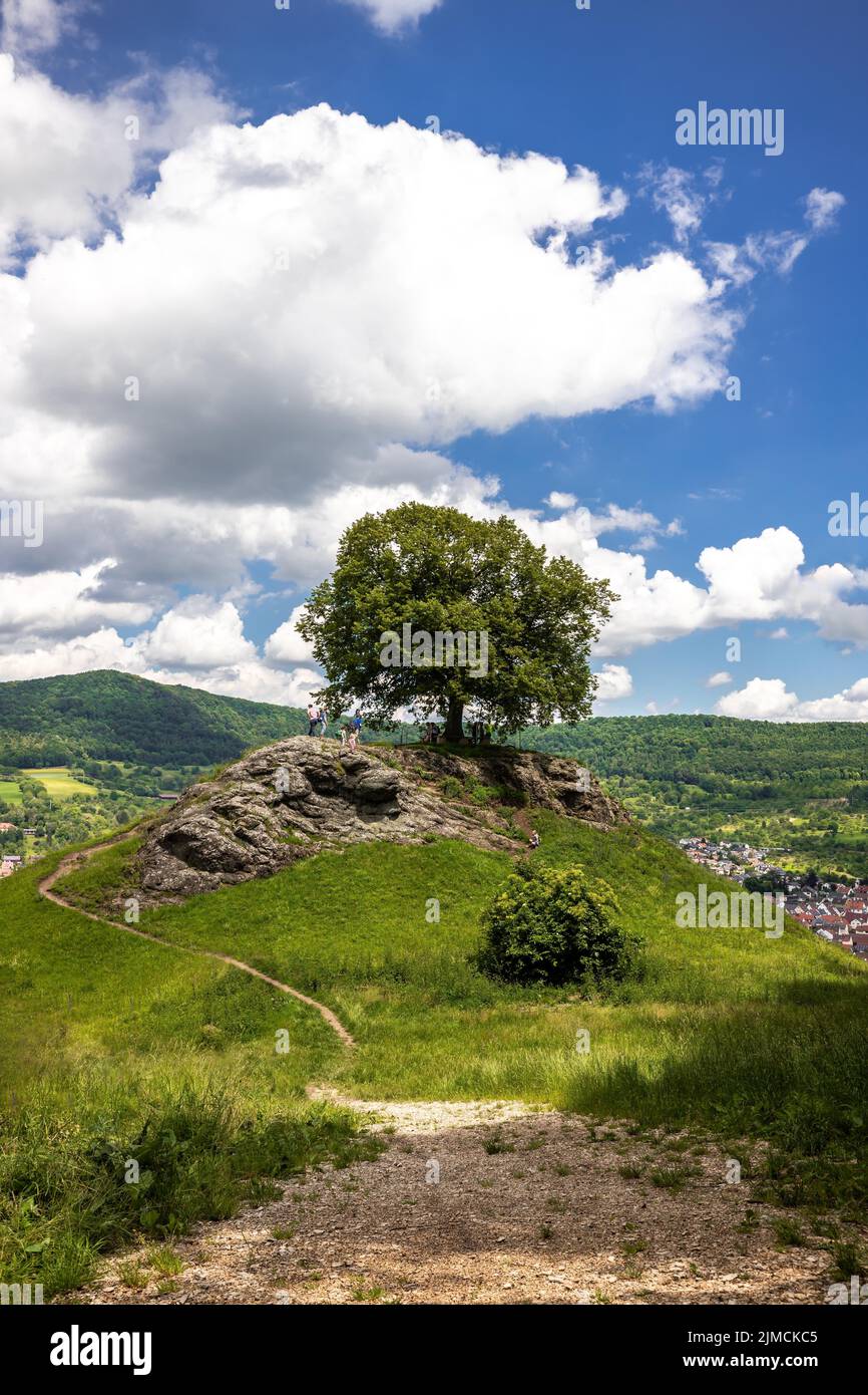 Paysage allemand avec arbre Banque de photographies et d’images à haute ...