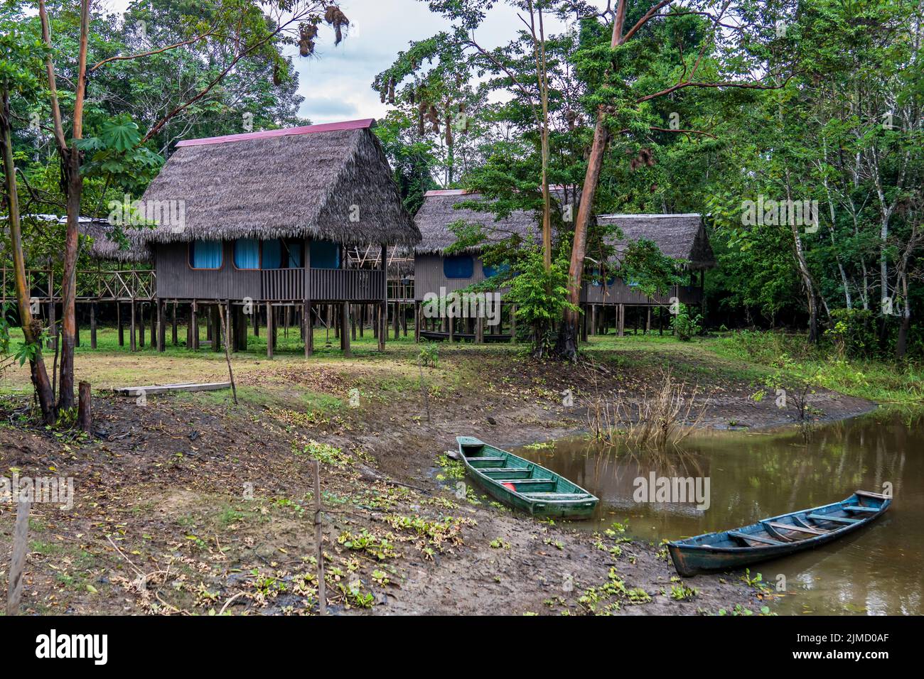 Loge amazone du curassow Banque de photographies et d’images à haute ...