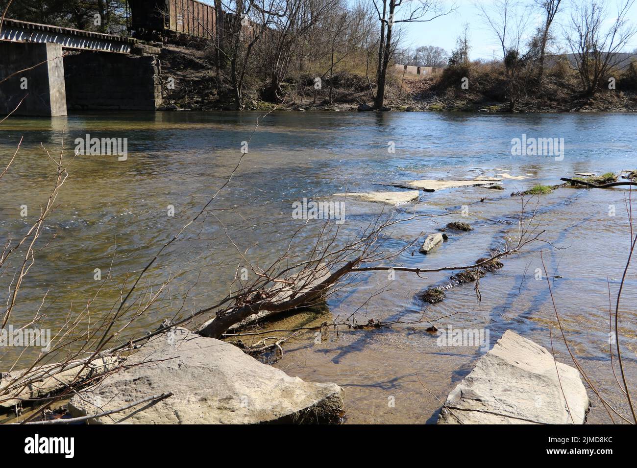 Branches atteignant Banque de photographies et d’images à haute résolution - Alamy