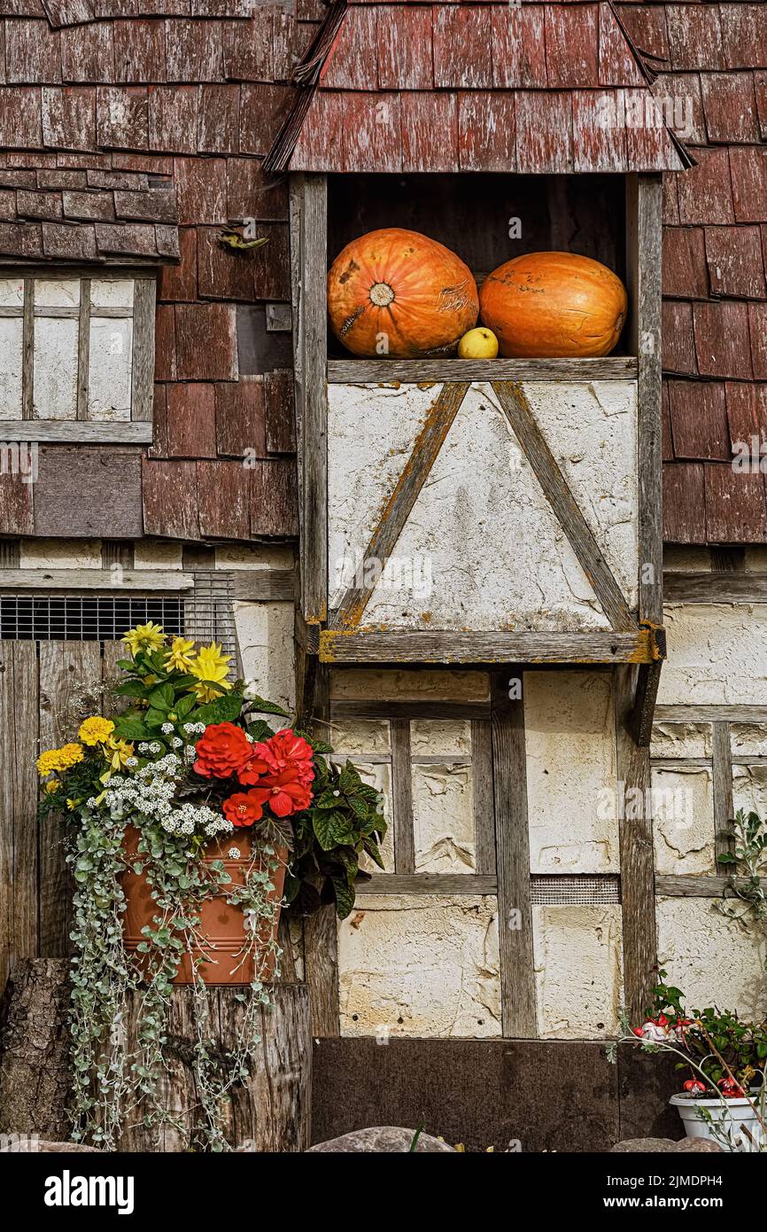 Maison de citrouille Banque de photographies et d’images à haute ...