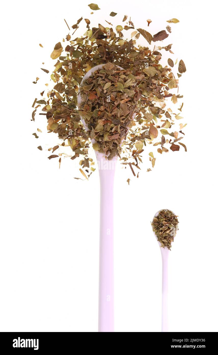 Origan est une espèce de plante à fleurs, Origanum vulgare, de la ...