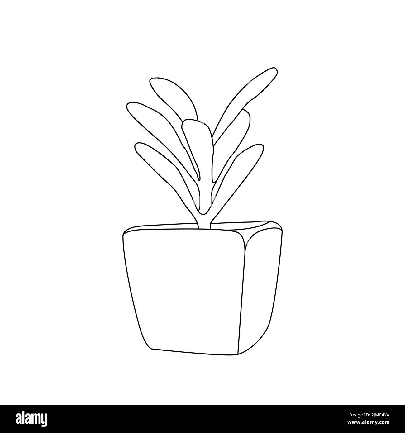 Dessin continu d'un pot de fleurs. Belles fleurs isolées fond blanc ...