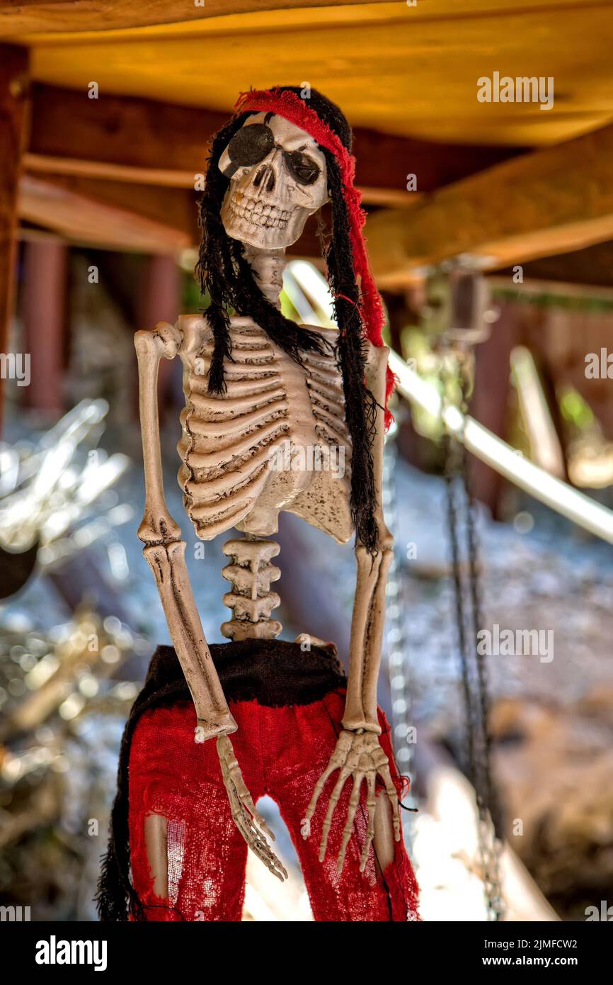 Squelette de pirate Banque de photographies et d’images à haute ...