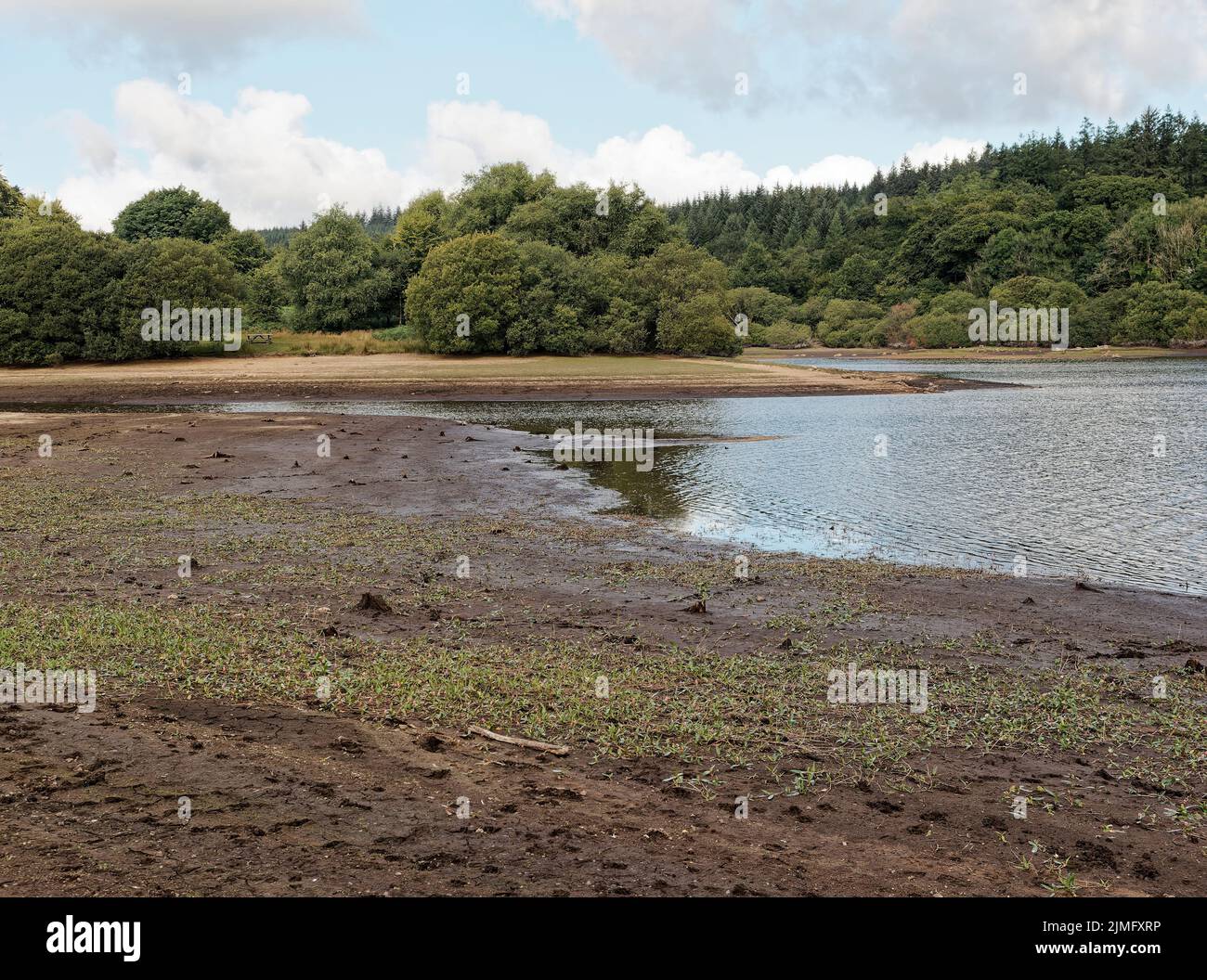 Fernworthy reservoir Banque de photographies et d’images à haute ...