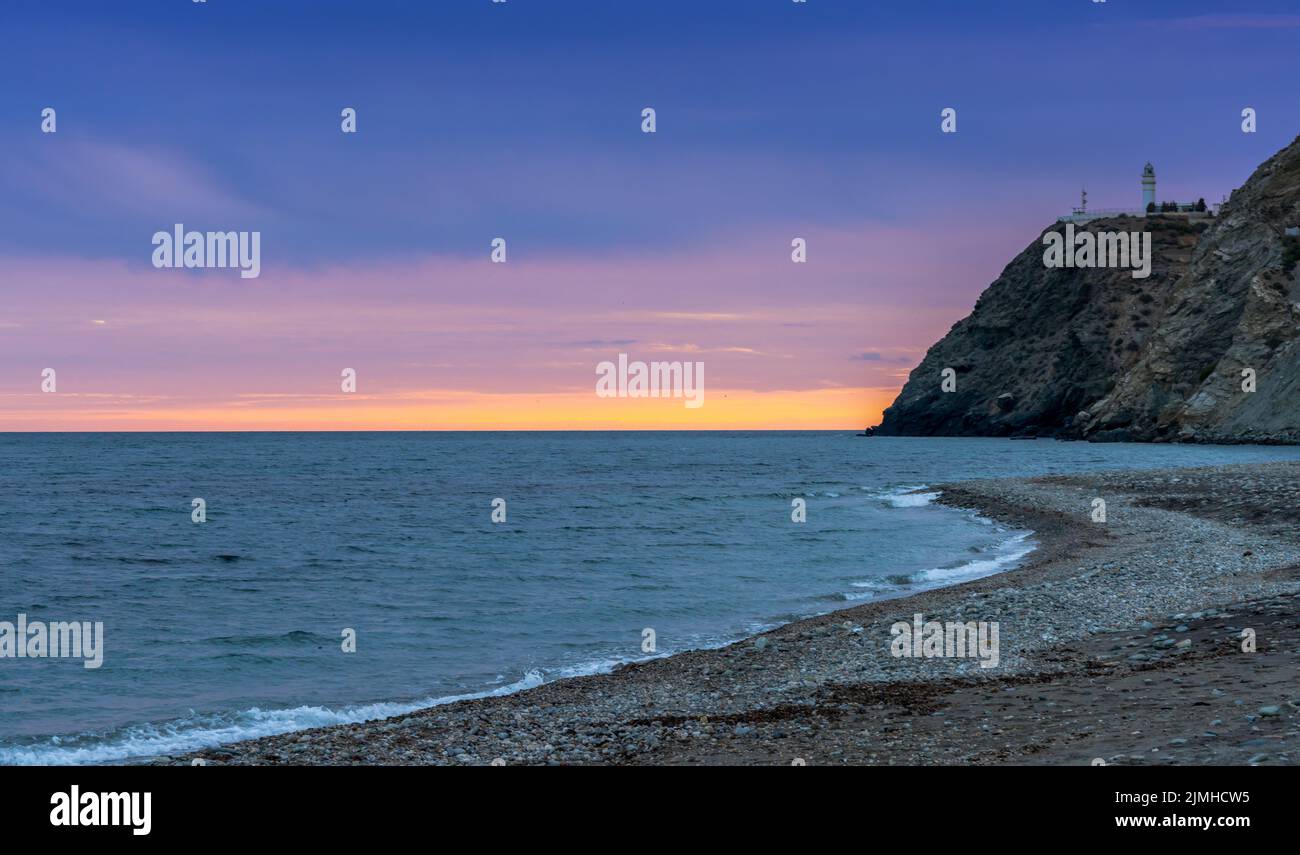 La chucha Banque de photographies et d’images à haute résolution - Alamy