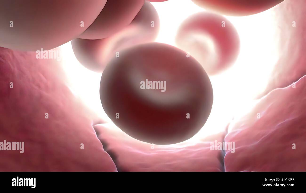 Microscopio y células sanguíneas Banque de photographies et d’images à ...