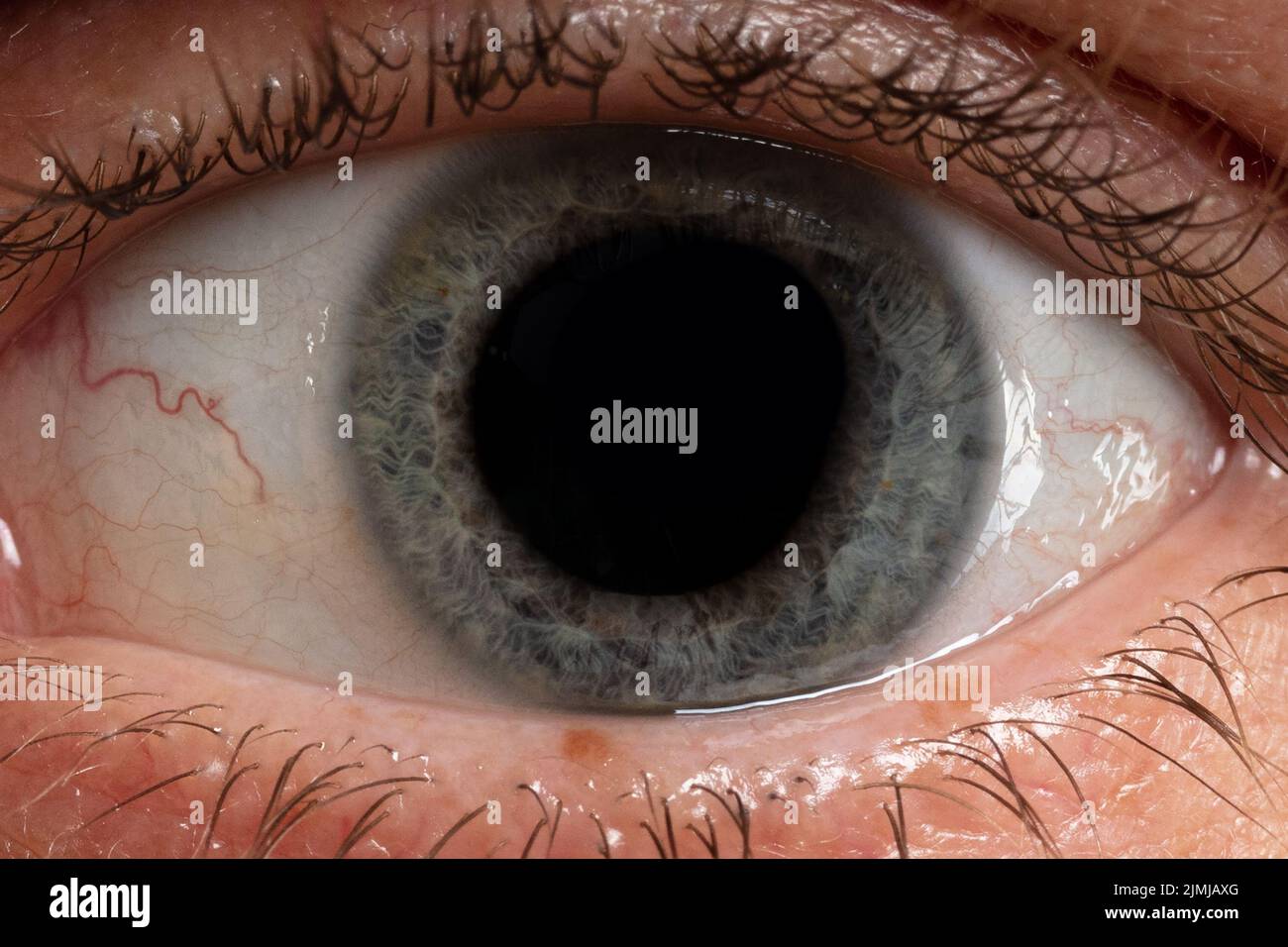 œil pupille Banque de photographies et d’images à haute résolution - Alamy