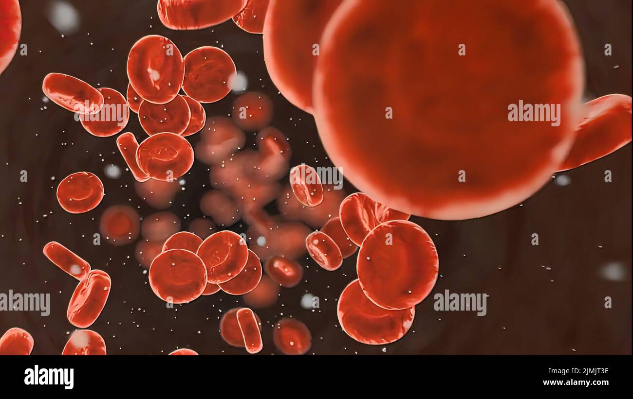 Microscopio y células sanguíneas Banque de photographies et d’images à ...