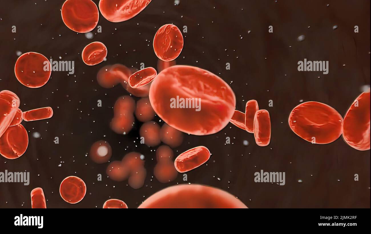 Microscopio y células sanguíneas Banque de photographies et d’images à ...