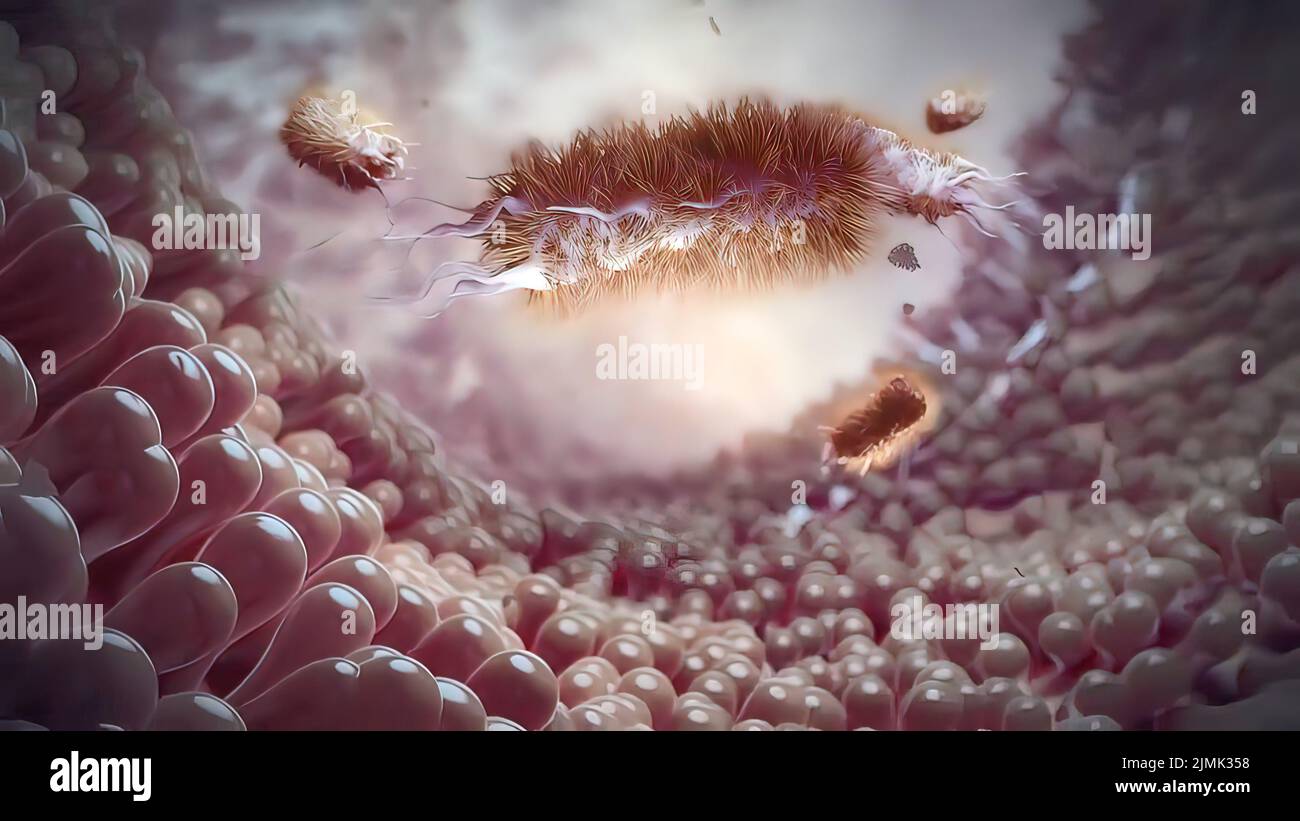 Estructura de las bacterias Banque de photographies et d’images à haute ...