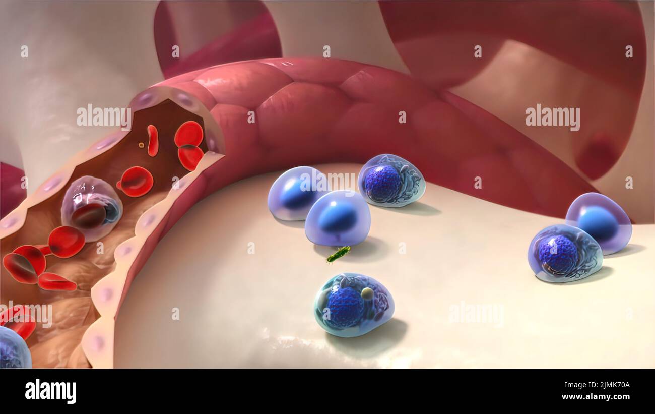 Cellule souche cancereuse Banque de photographies et d’images à haute ...