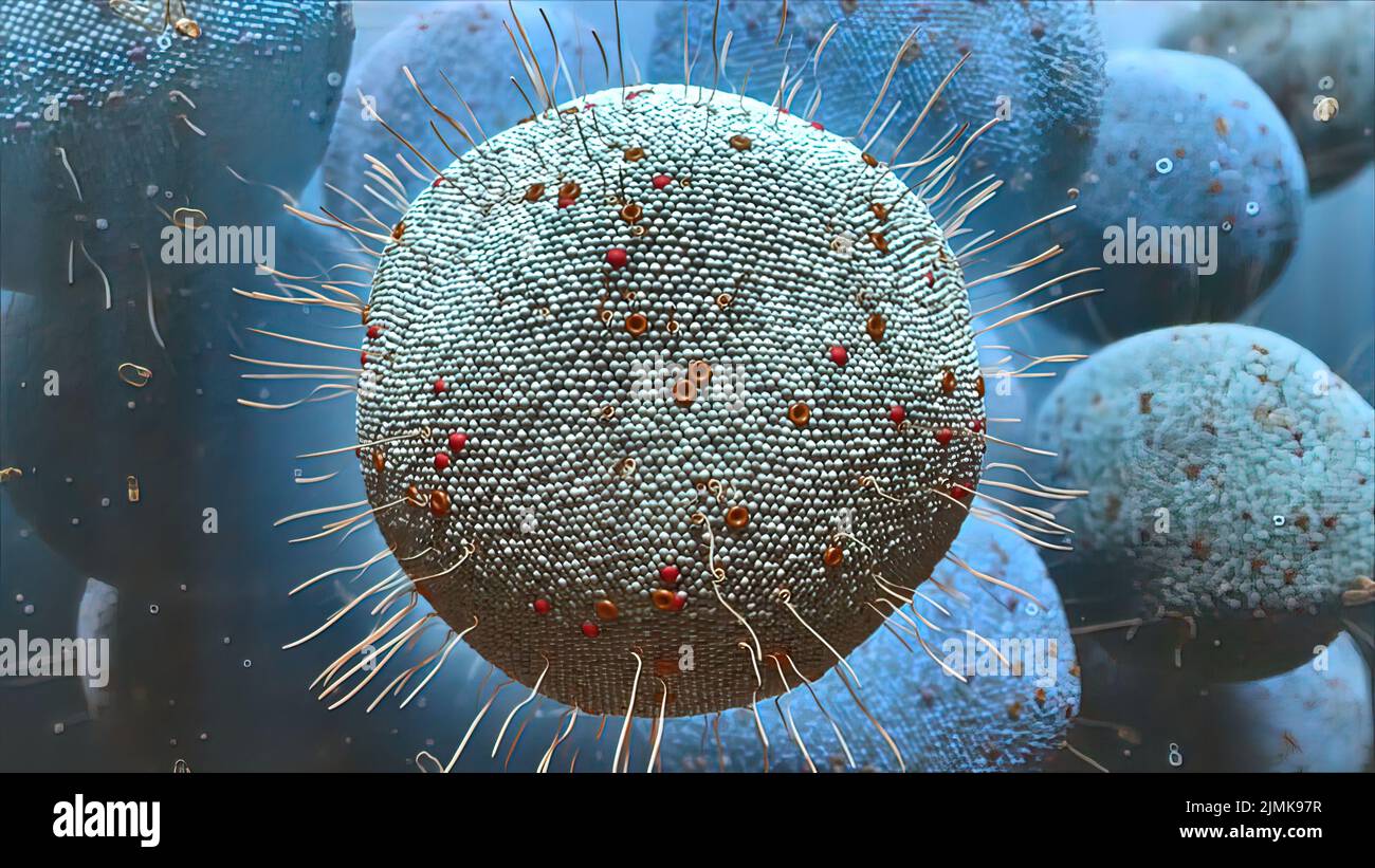 Structure de la cellule Banque de photographies et d’images à haute ...