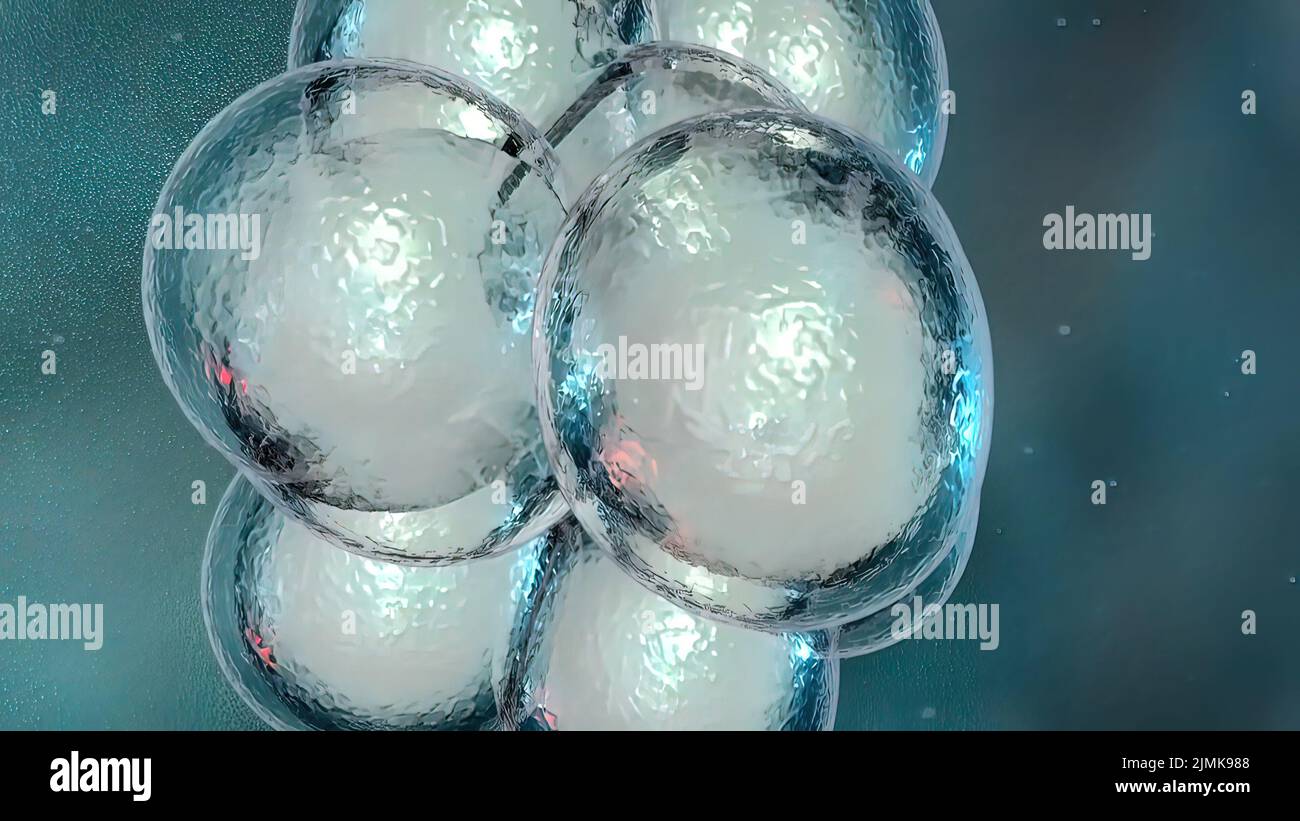 Division de la cellule cancéreuse Banque de photographies et d’images à ...