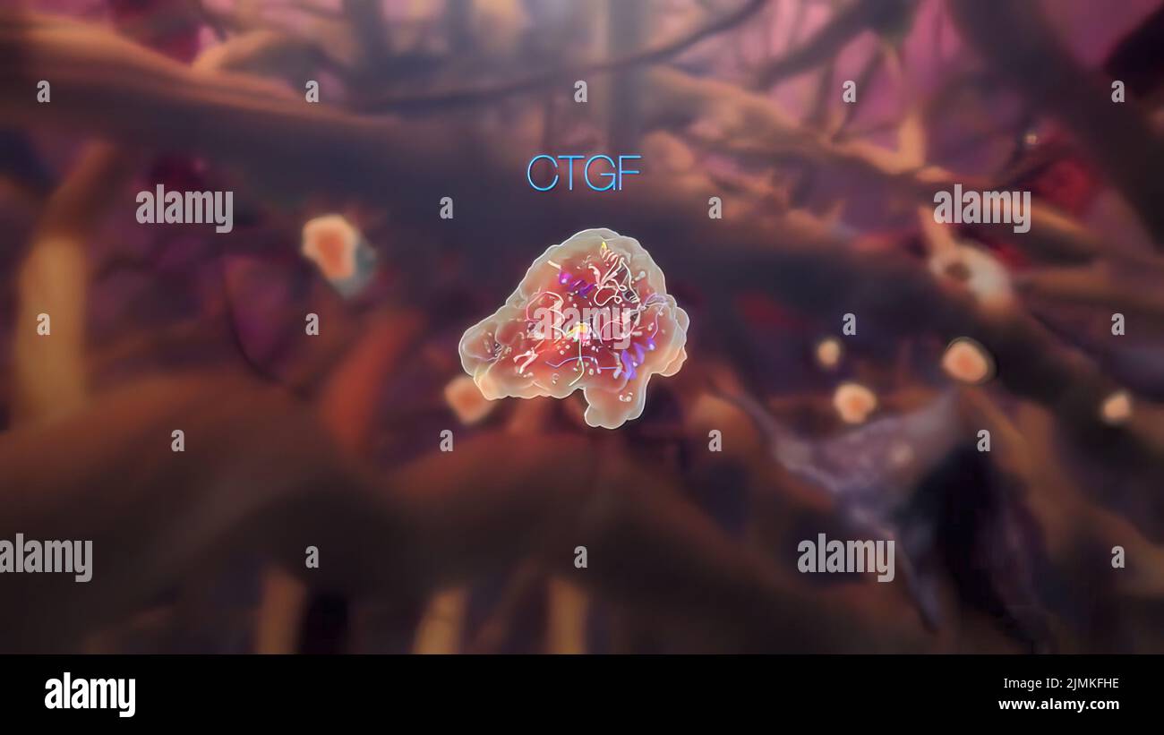 Chondrocytes cell Banque de photographies et d’images à haute ...