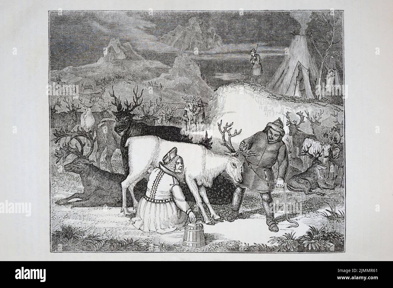 Ferme de rennes sami Banque de photographies et d’images à haute ...