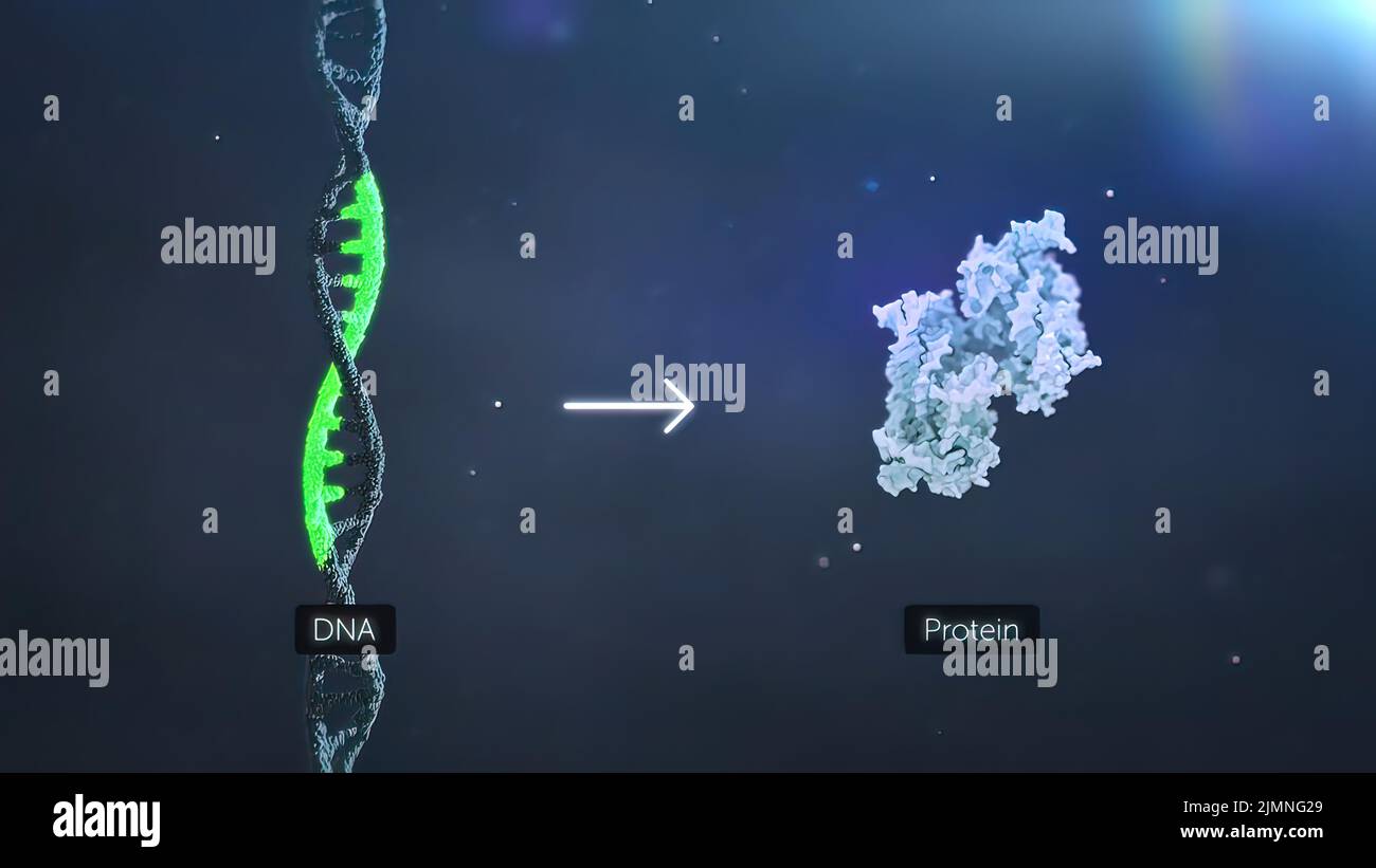 Mutations dans leur adn Banque de photographies et d’images à haute résolution - Alamy