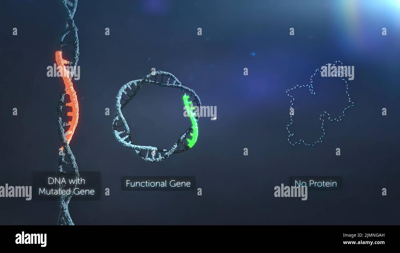 Mutations de gènes Banque de photographies et d’images à haute résolution - Alamy