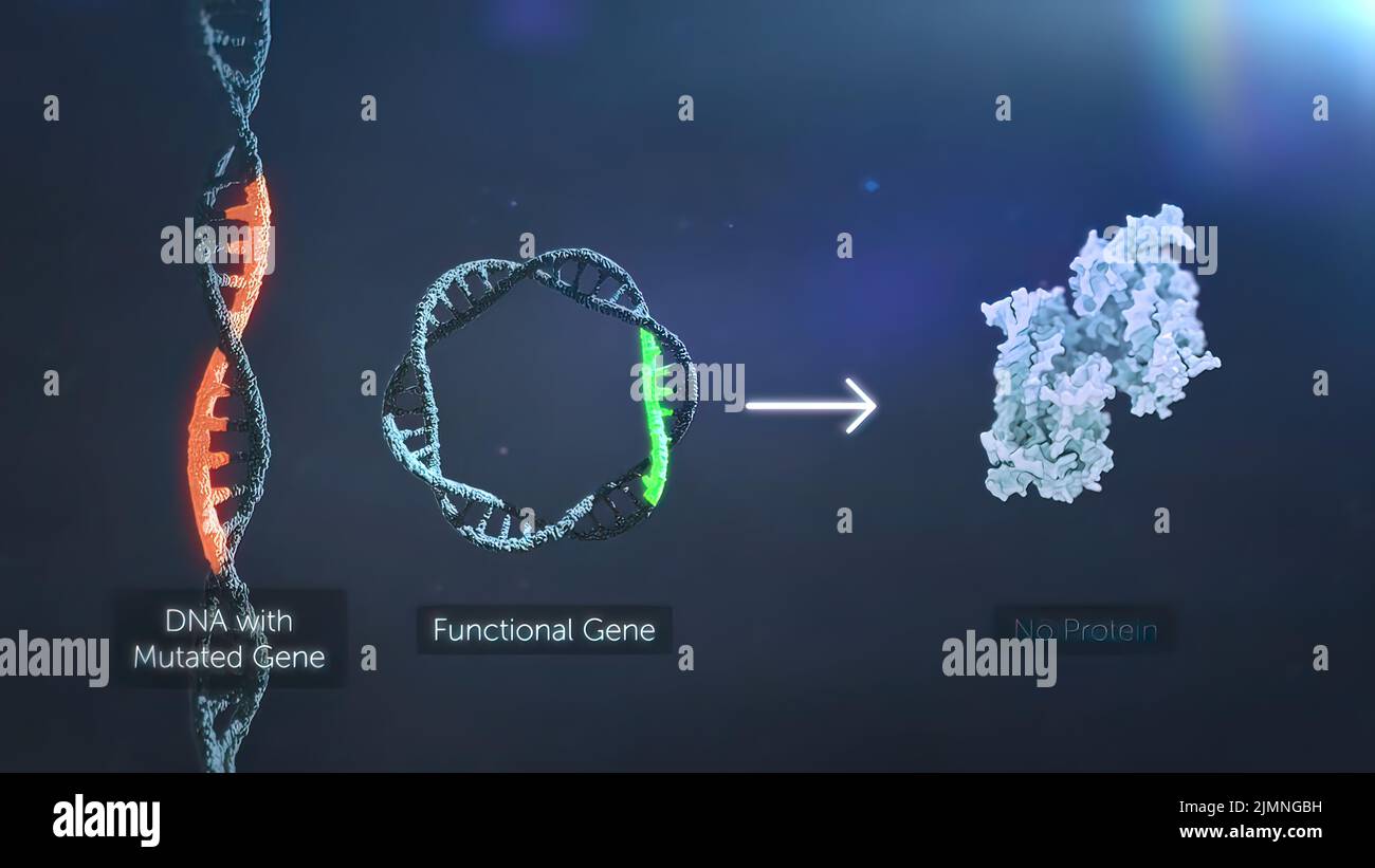 Mutations dans leur adn Banque de photographies et d’images à haute résolution - Alamy