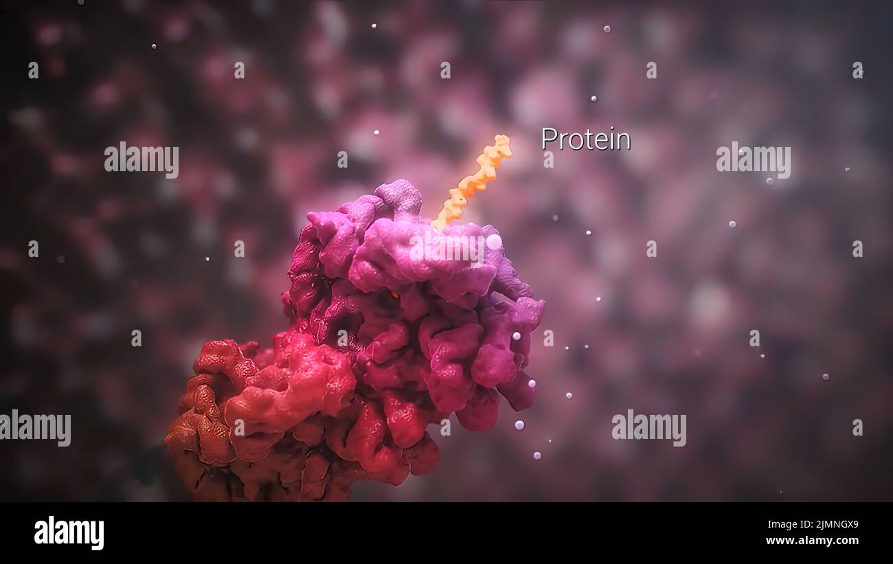 Mutations dans leur adn Banque de photographies et d’images à haute résolution - Alamy