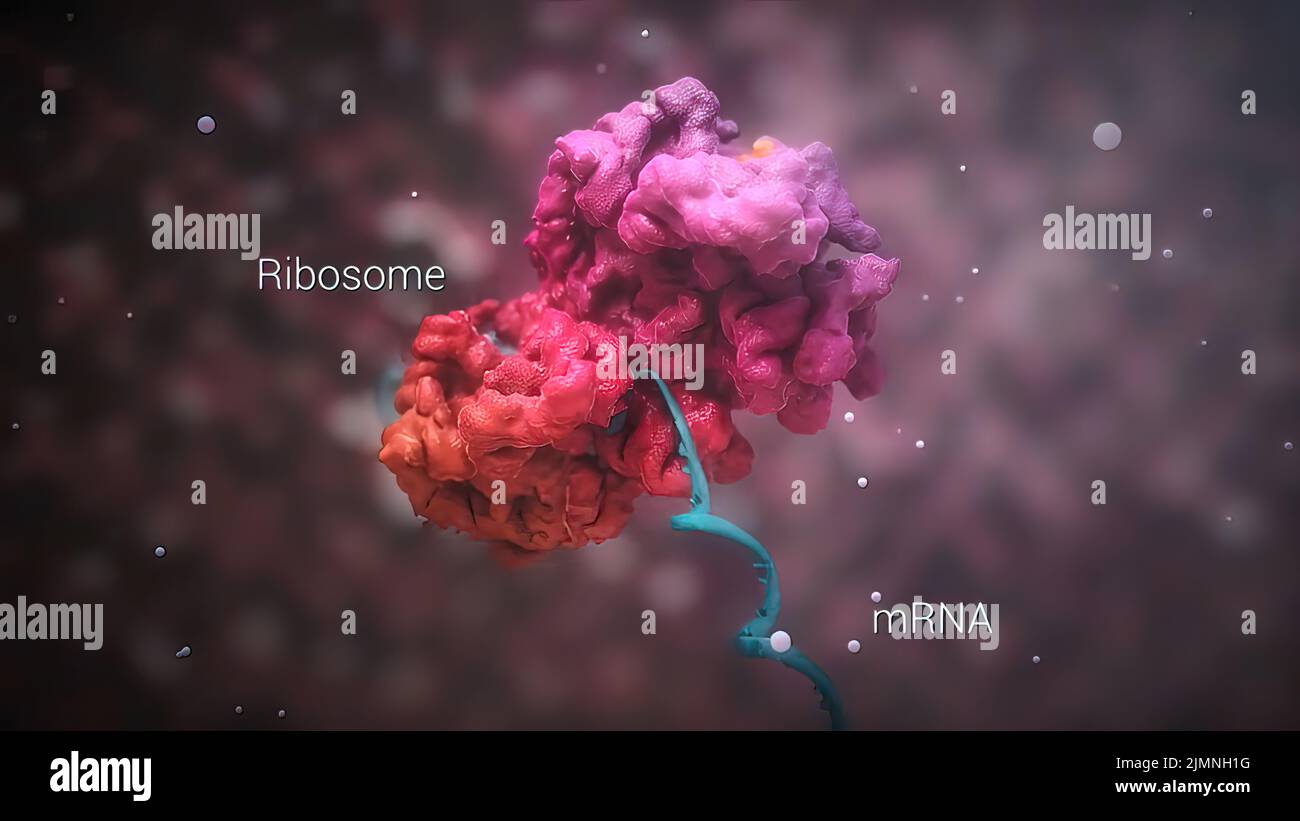 Mutations dans leur adn Banque de photographies et d’images à haute résolution - Alamy