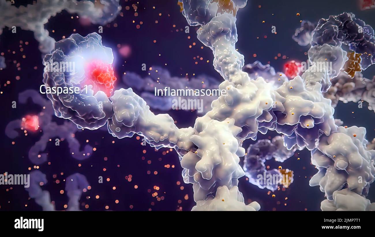 Comment le virus detruit il le poumon Banque de photographies et d ...