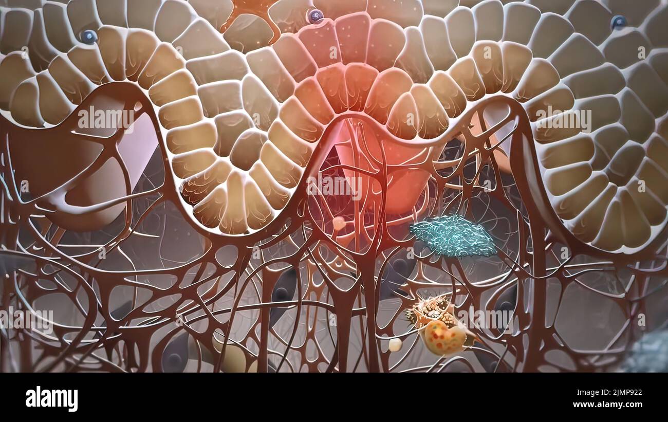 Maladie de la peau auto immune Banque de photographies et d’images à ...