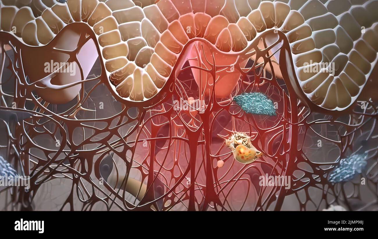 Prévention du cancer de la peau Banque de photographies et d’images à haute résolution - Alamy