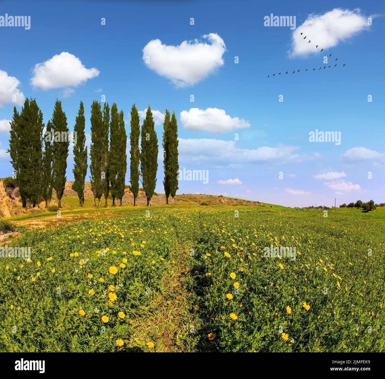 Israel annuel Banque de photographies et d’images à haute résolution ...