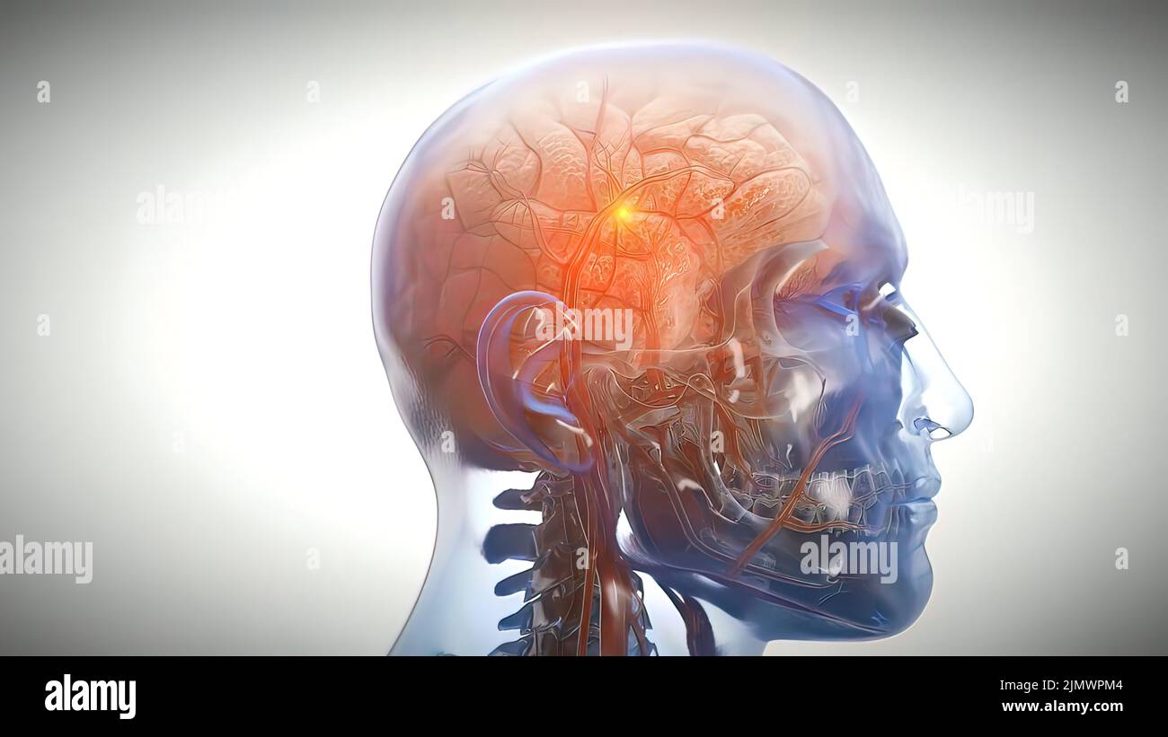 Transmission synaptique, récepteurs du système nerveux. Conscience de ...