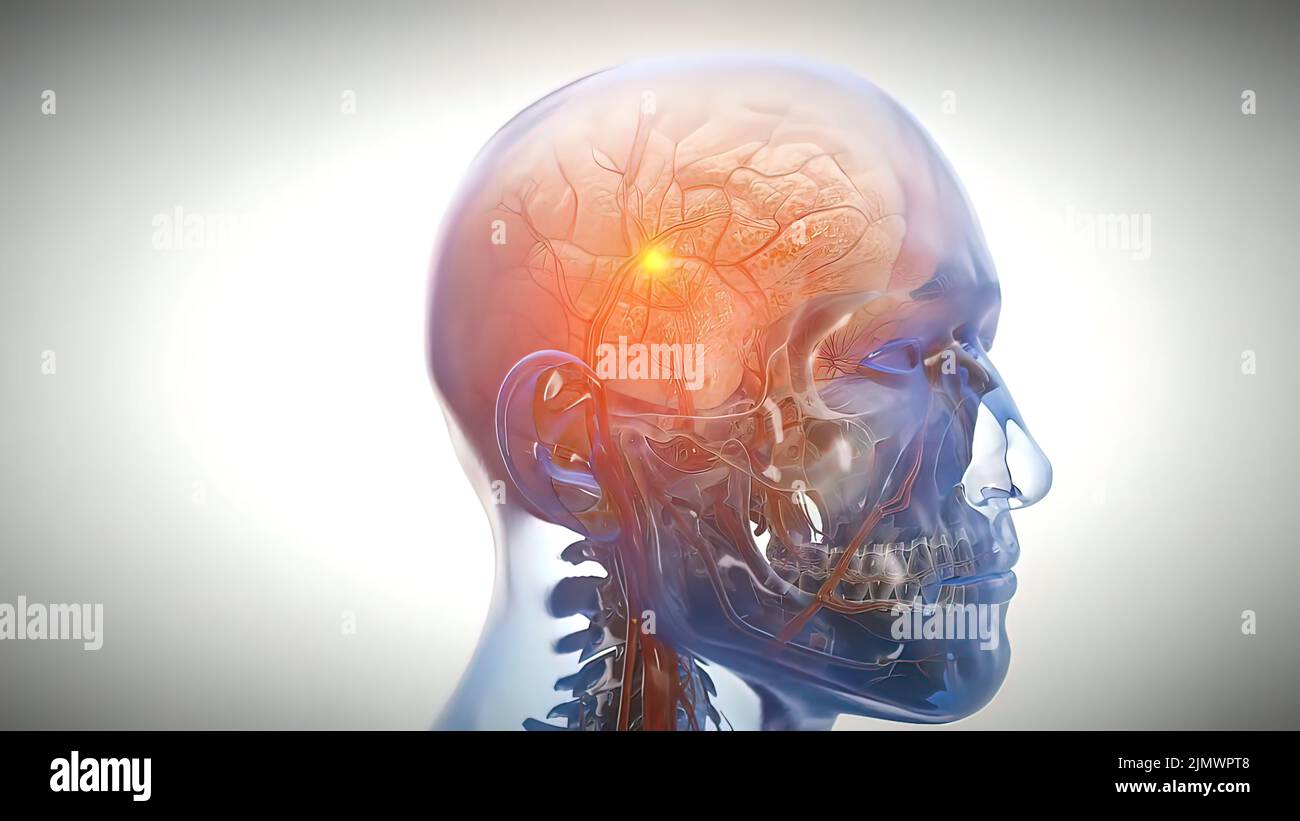 Transmission synaptique, récepteurs du système nerveux. Conscience de ...