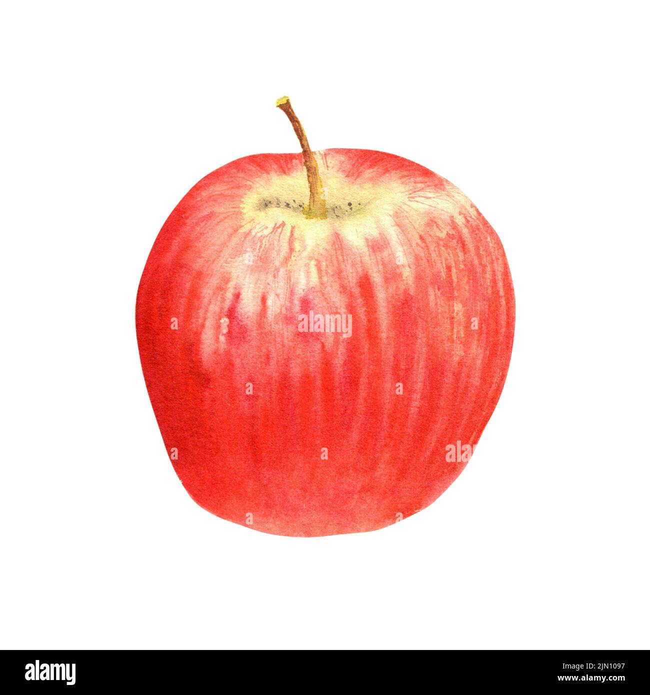 Fruit drawing sketch clipart Banque de photographies et d’images à ...