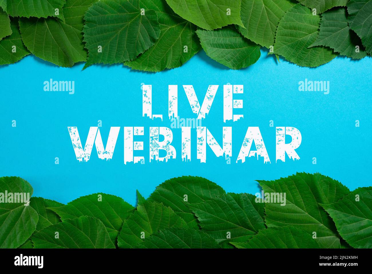 Webinaire en direct sur l'écriture manuscrite. Mot écrit sur le ...