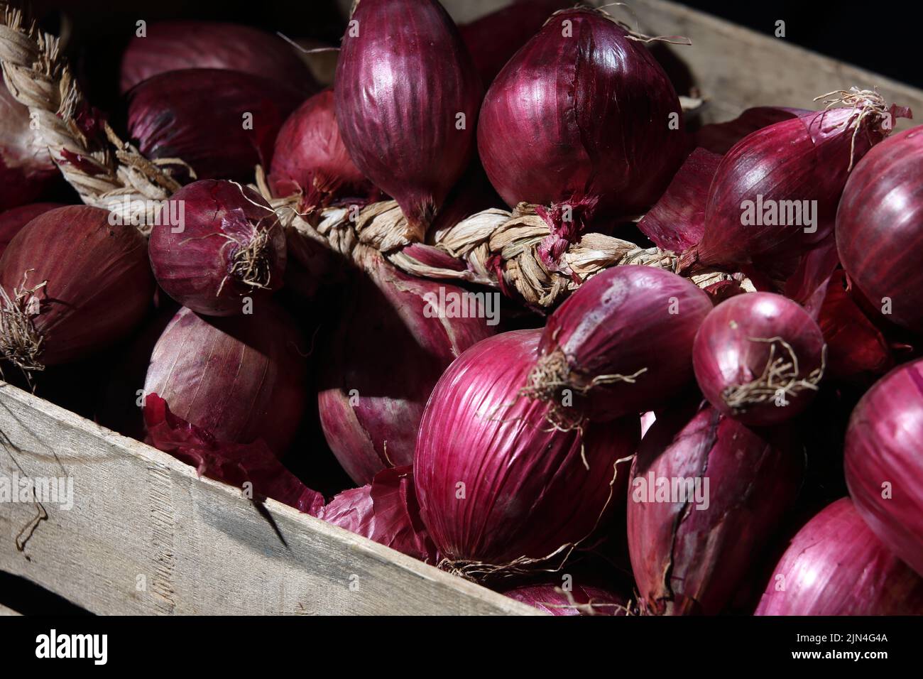 Tropea onion Banque de photographies et d’images à haute résolution - Alamy