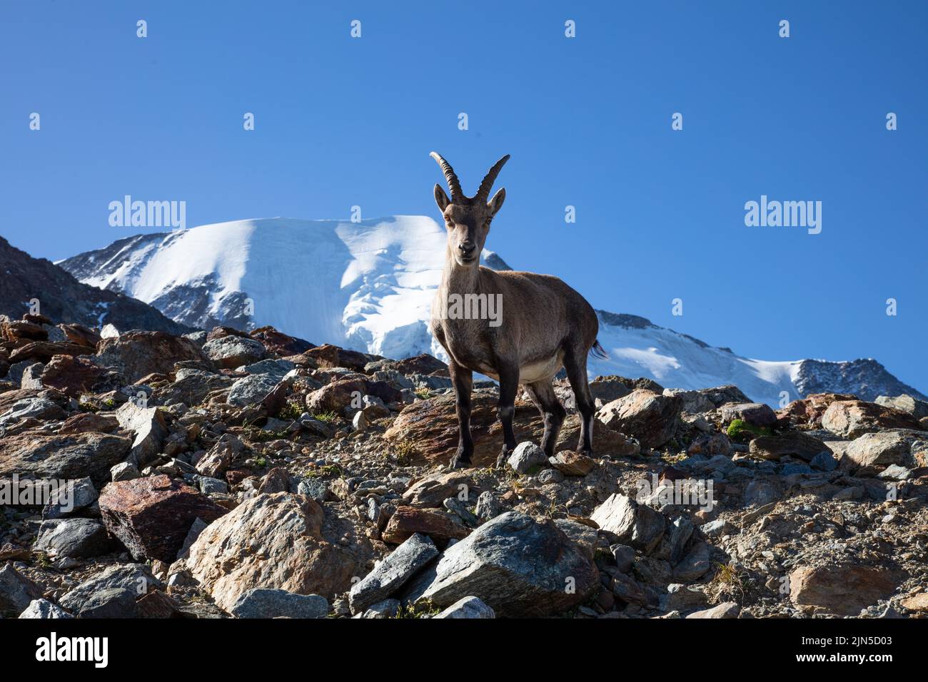 Glacier de tete rousse Banque de photographies et d’images à haute ...