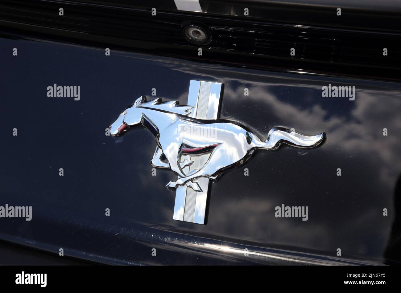 Ford mustang logo Banque de photographies et d’images à haute ...
