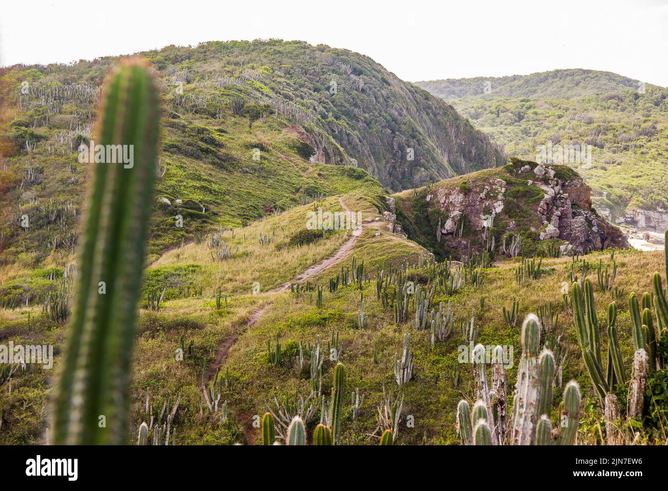 Cape frio Banque de photographies et d’images à haute résolution - Alamy