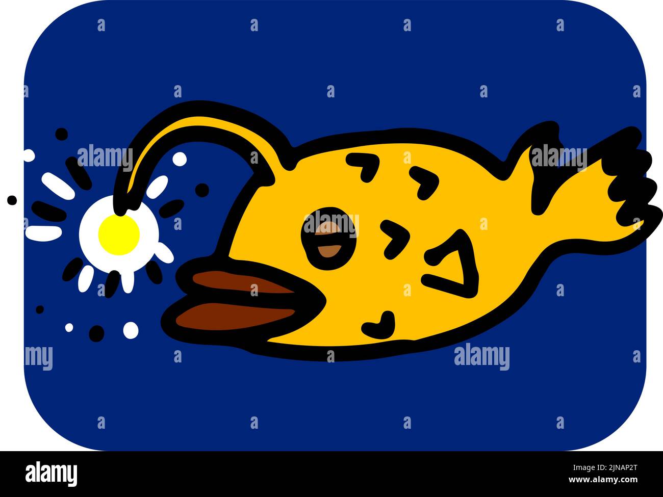 Atlantic footballfish Banque de photographies et d’images à haute ...