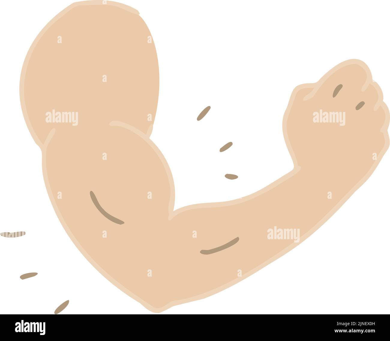 Corps intérieur Banque d'images vectorielles - Alamy