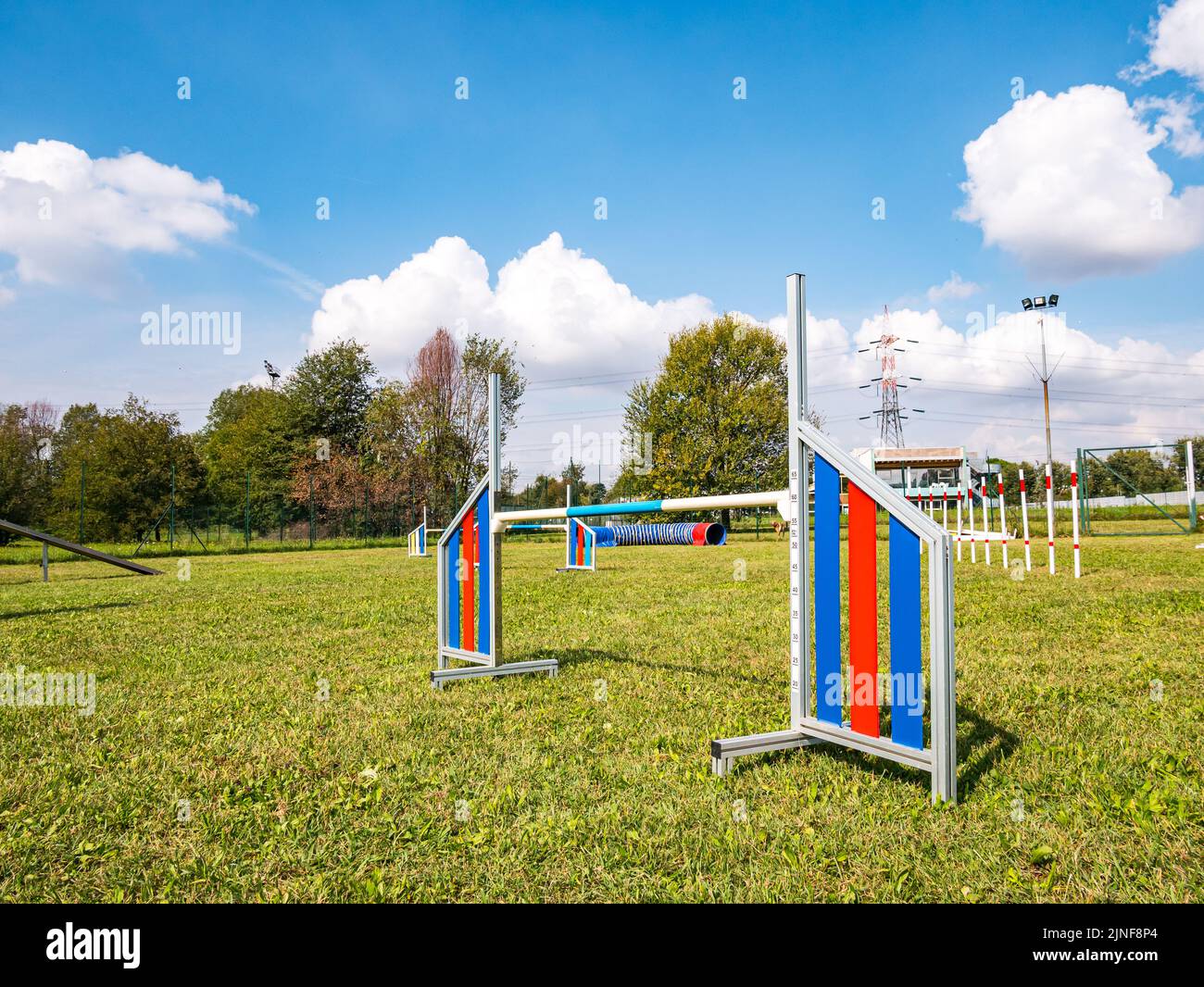 Zone équipée pour l'entraînement des chiens. Dressage de chiens dans ...