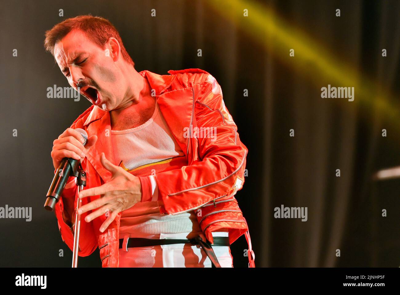 Pablo Padin chanteur et pianiste du groupe musical 'Dieu sauve la Reine ...