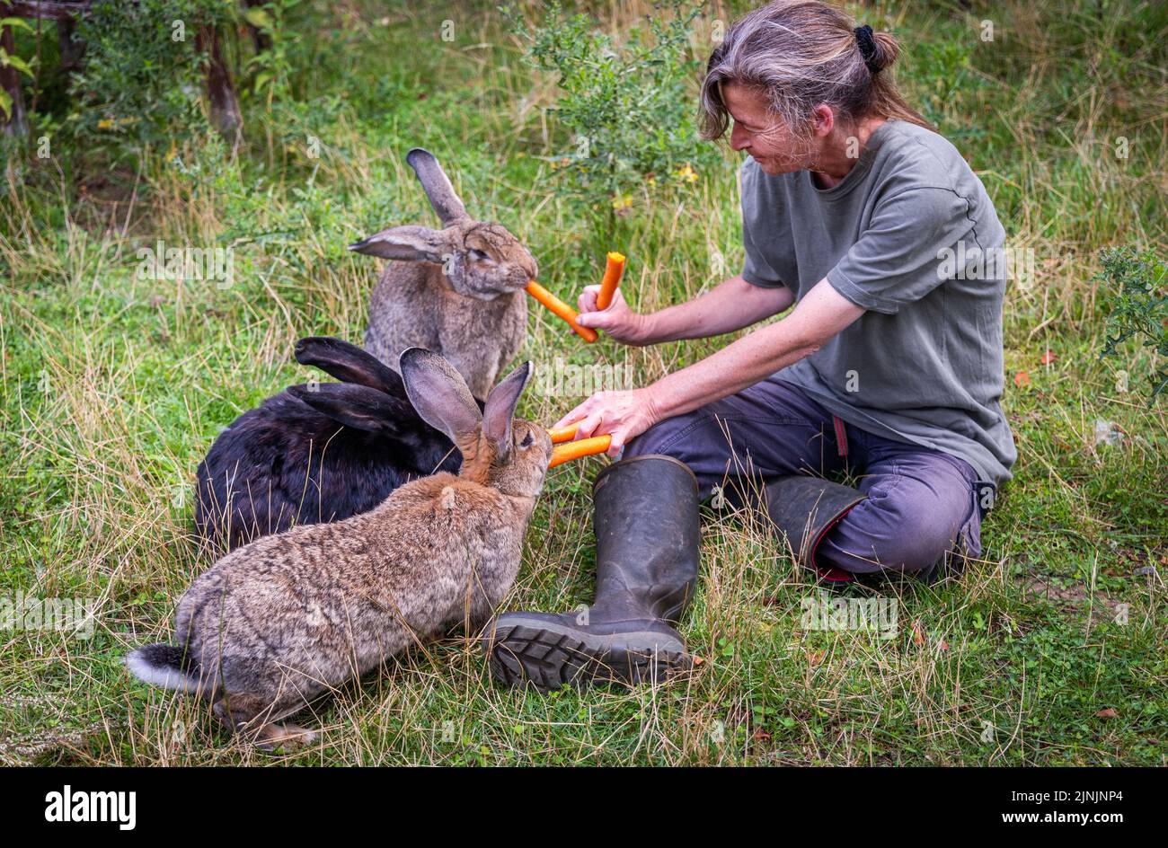 08 août 2022, Mecklembourg-Poméranie occidentale, Vellahn: Tanja ...
