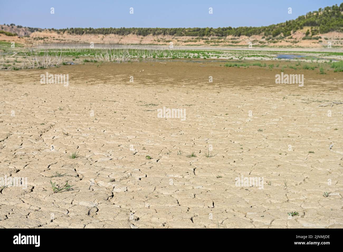 Arena de una playa o un desierto Banque de photographies et d’images à ...