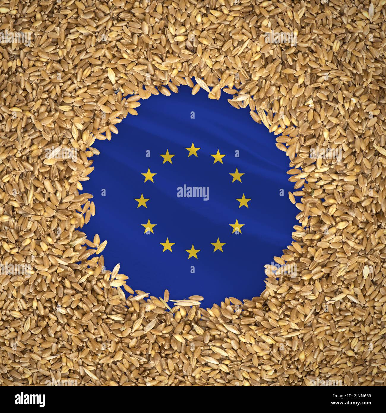 Drapeau de l'Union européenne avec les grains de blé. Concept naturel ...